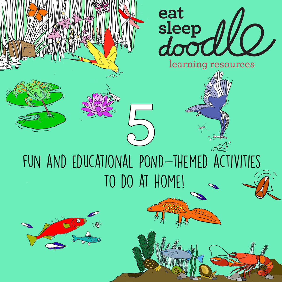5 fun and educational pond-themed activities for children ...